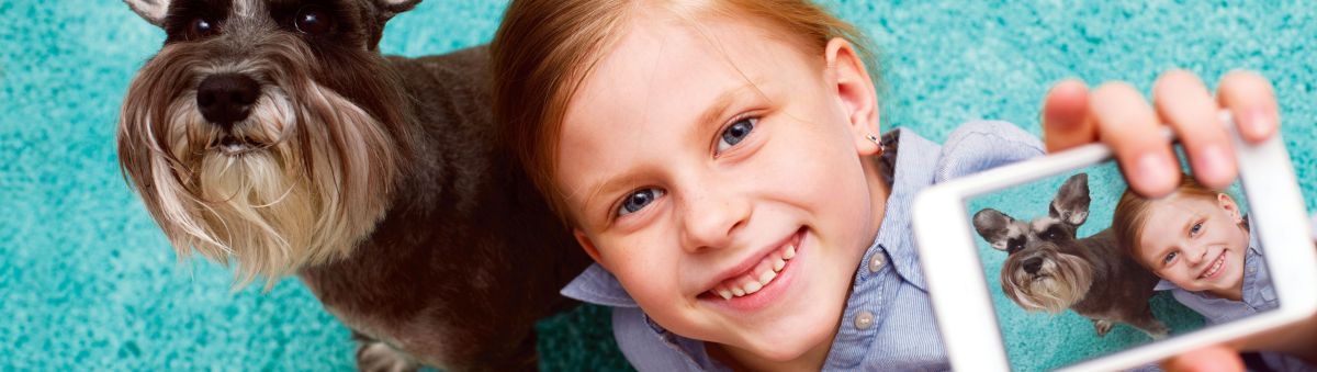 Top tips for taking better pictures of your dog with your smartphone – NI Cockapoo Club